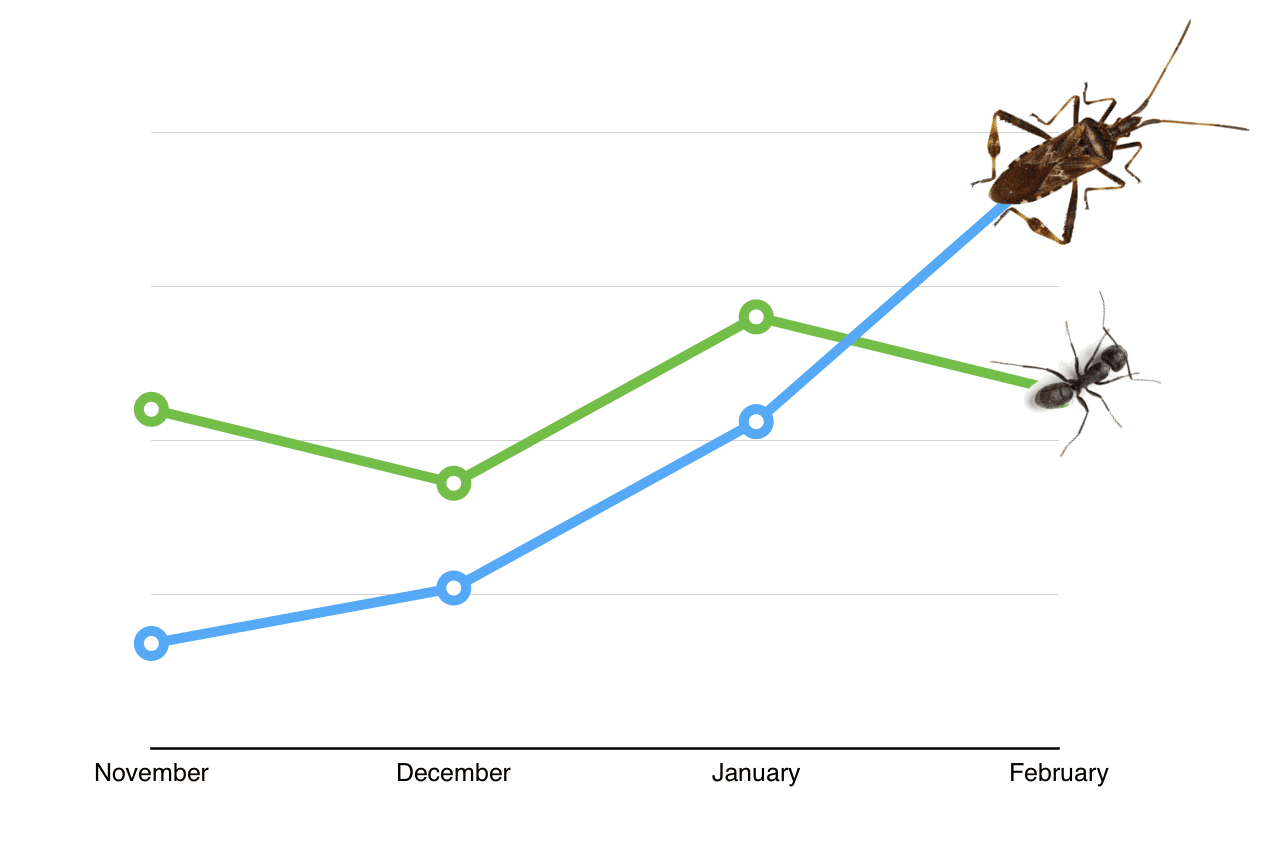 Pest Forecast for the Northeast U.S. - Graduate Pest Solutions